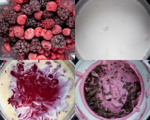 Black Raspberry Chocolate Chip Ice Cream | Last Ingredient