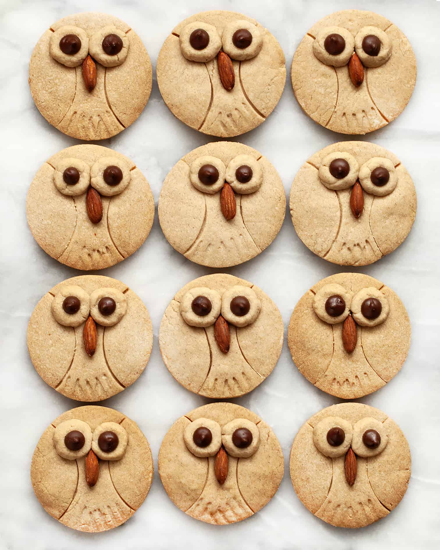 Cinnamon Shortbread Owl Cookies | Last Ingredient