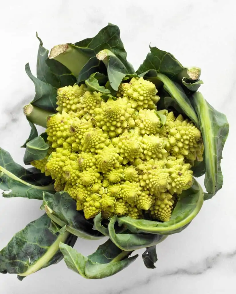 Roasted Romanesco Arugula Pasta | Last Ingredient